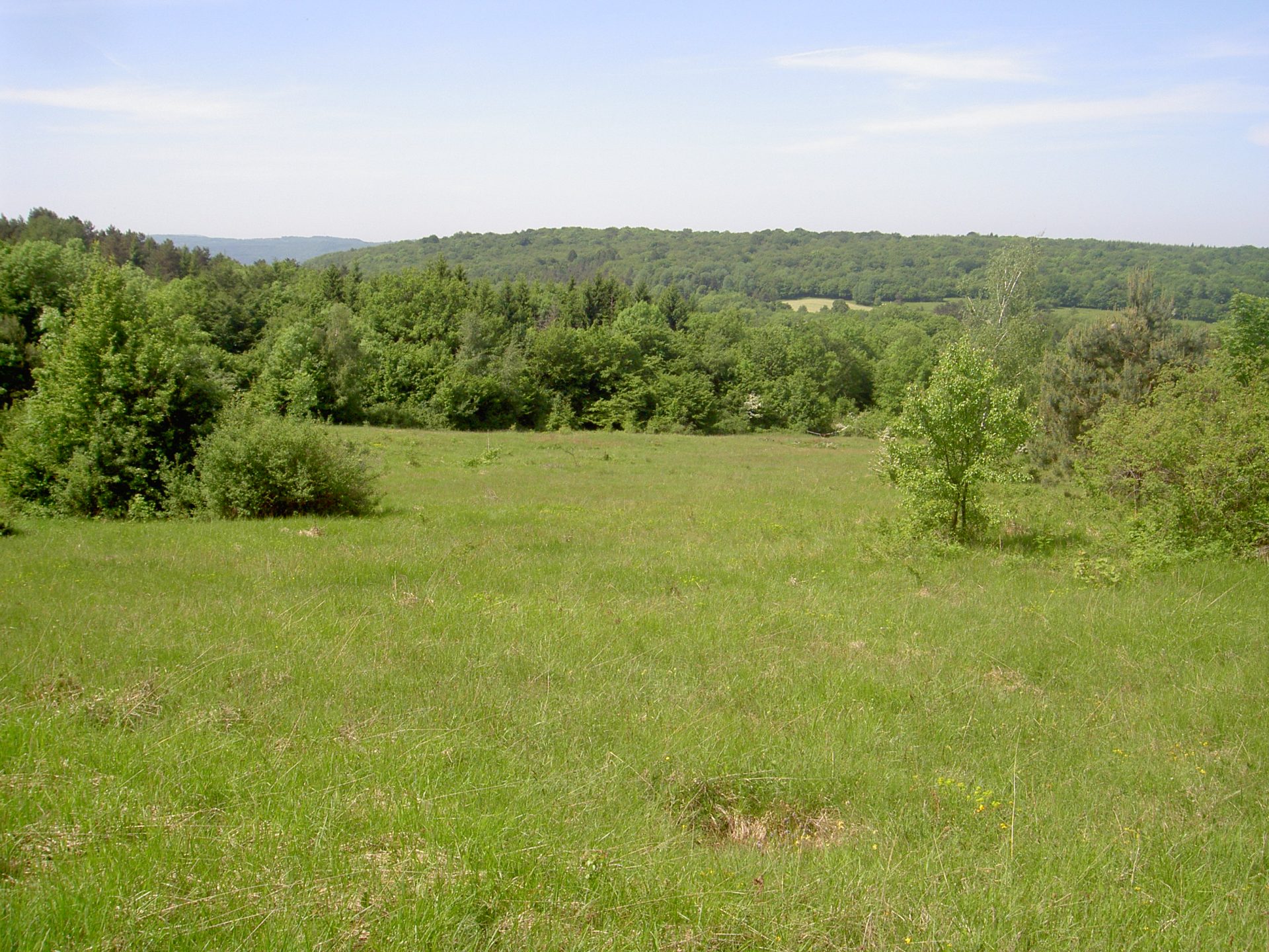Les pelouses et les prairies - Natura 2000